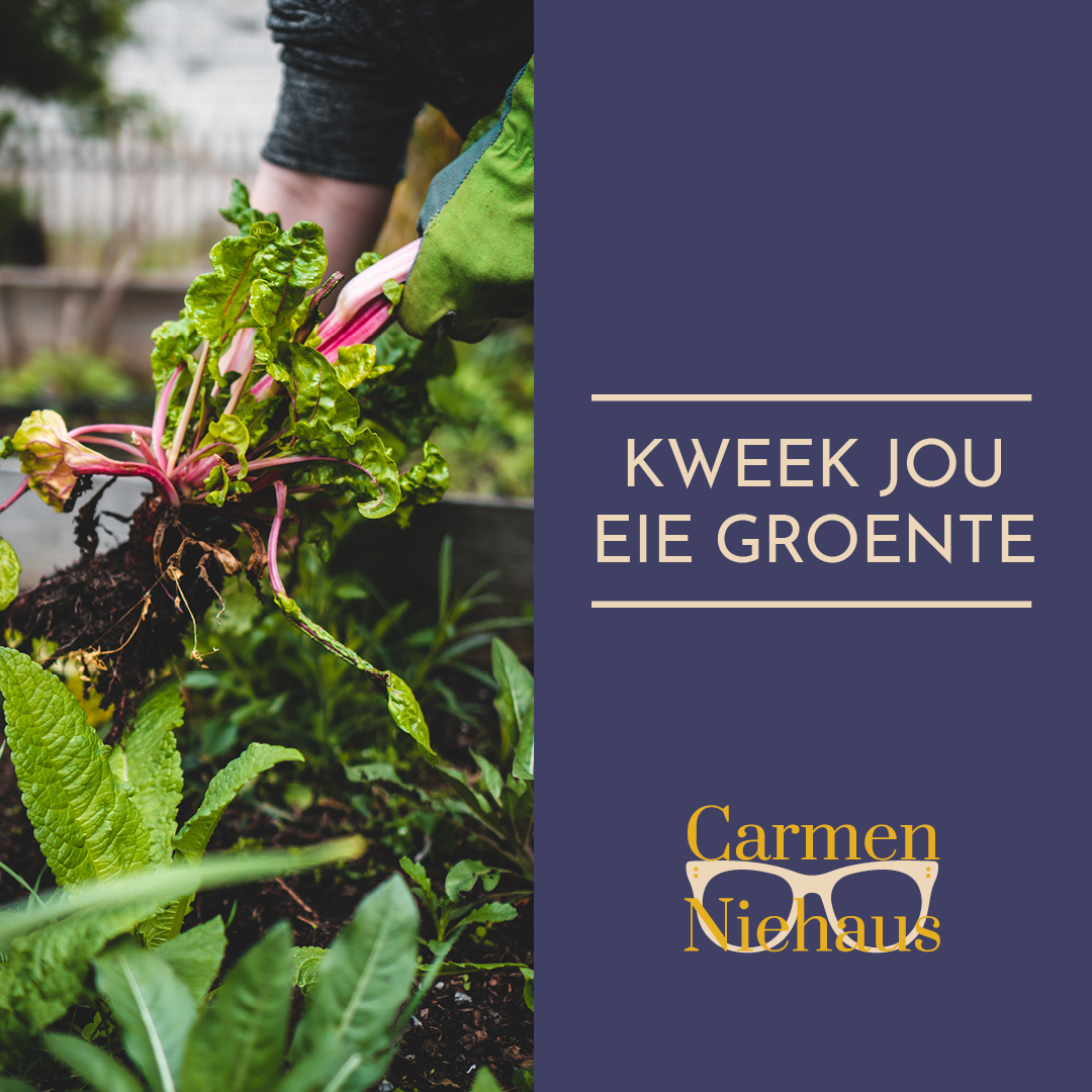 Kweek jou eie groente – Carmen Niehaus